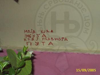 Zuta Kuca - Србовање